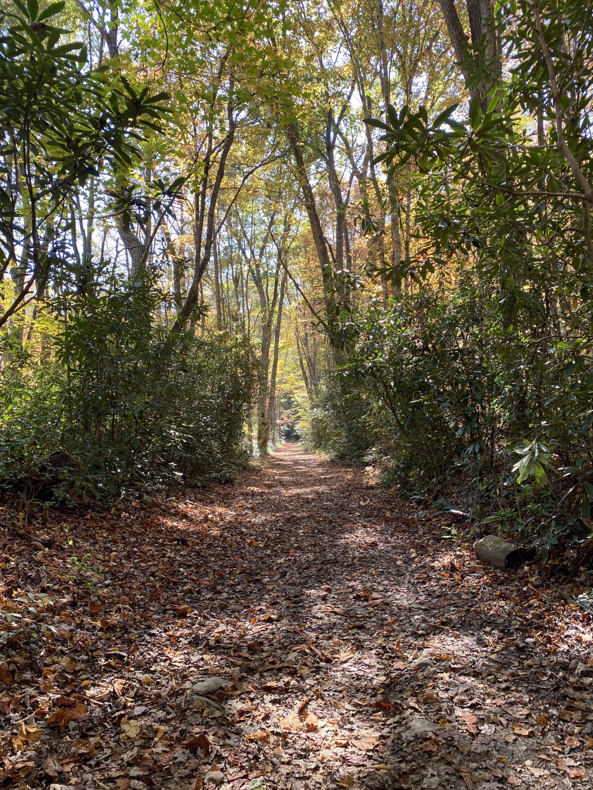 Podcast - The Unburdened Self